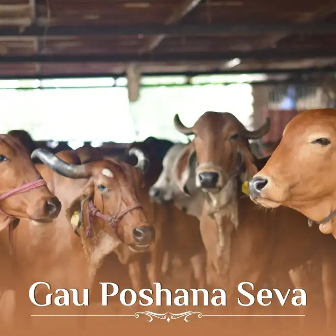 Gaushala Donation Online